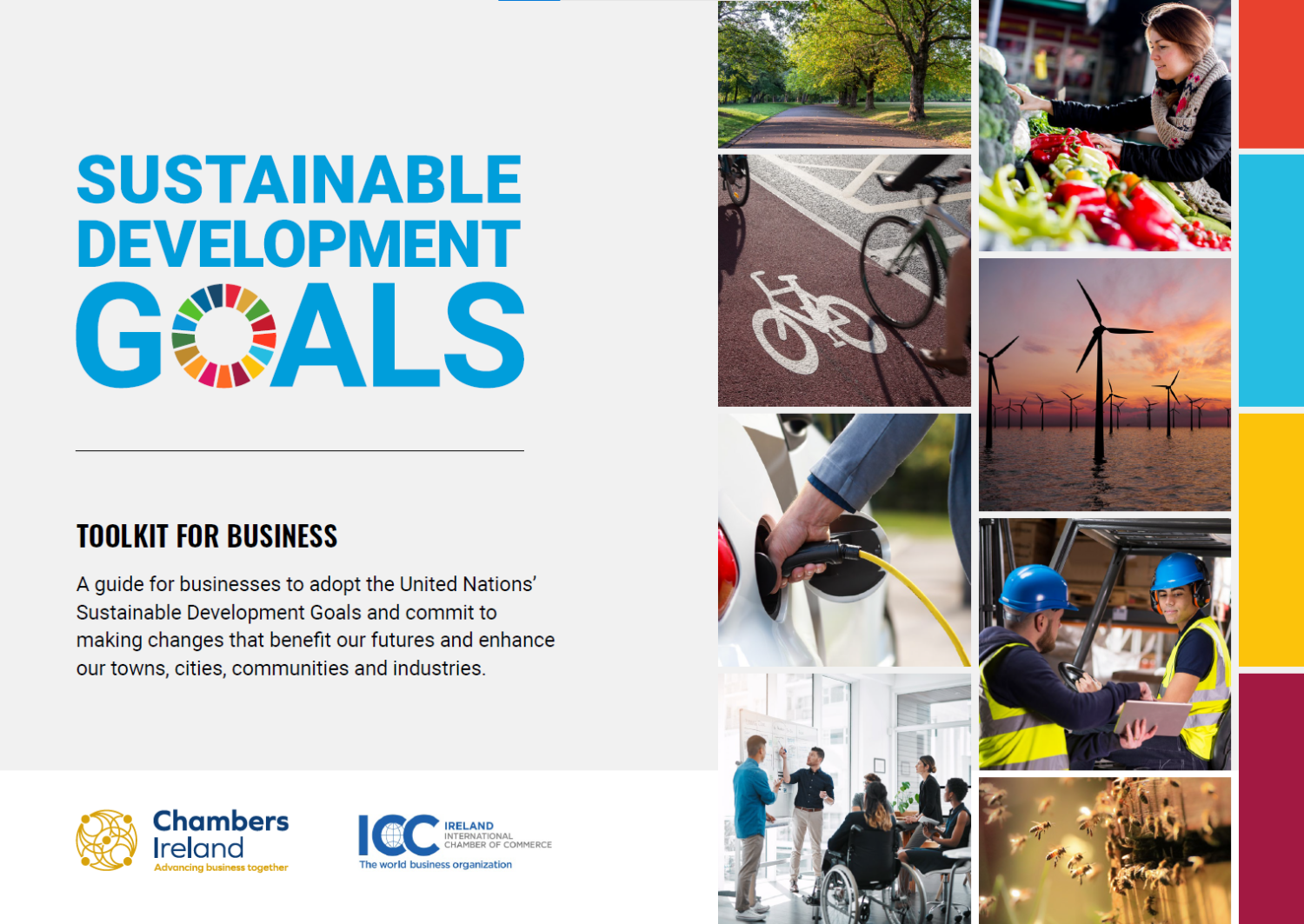 SDG Toolkit for Business - Carlow Chamber